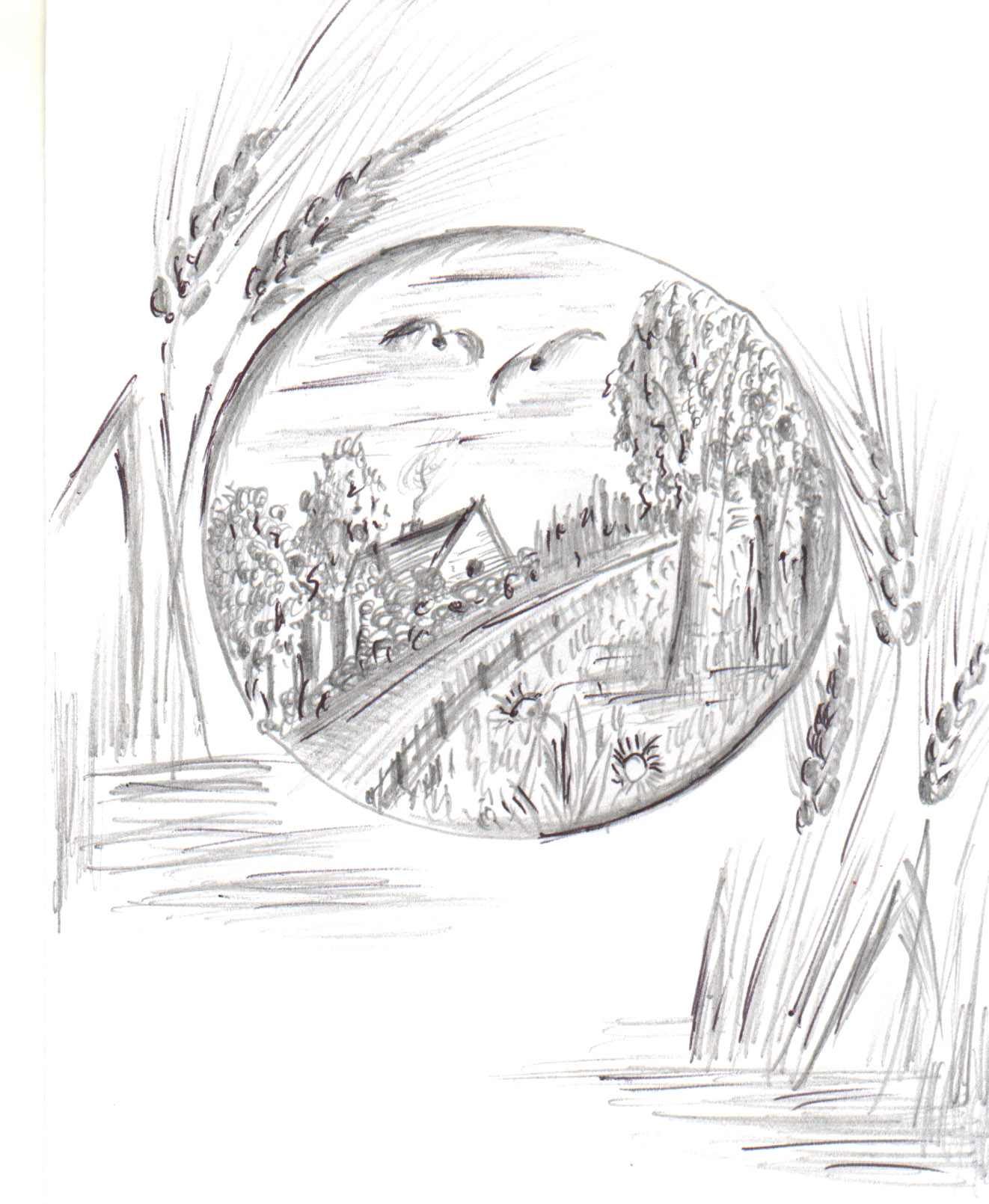 Drawings